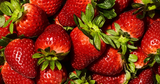 Florida Strawberries | Publix Super Markets